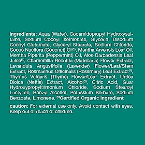 Alba Botanica Very Emollient Bath & Shower Gel, Sparkling Mint, 32 Oz (Packaging May Vary)