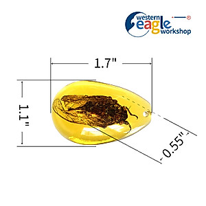 Western Eagle Workshop 8pcs Amber Fossil with Insects Samples Stones Crystal Specimens Home Decorations Collection Oval Pendant