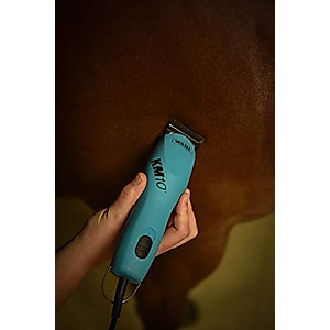 WAHL Professional Animal KM10 2-Speed Brushless Motor Pet, Dog, and Horse Clipper Kit - Turquoise