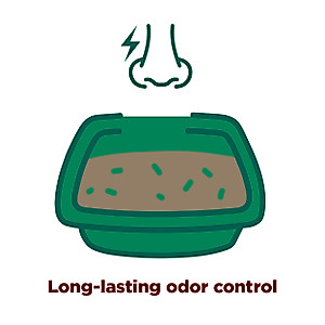 Arm & Hammer Forever Fresh Clumping Cat Litter Cedarwood, MultiCat 18lb, Pet Friendly with Essential Oils, (Pack of 1)