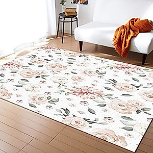 HomeDecorArt Large Area Rugs 3' x 5' Throw Carpet Floor Cover Nursery Rugs for Children, Retro Pink Flowers Romantic Watercolor Texture Modern Kitchen Mat Runner Rugs for Living Room/Bedroom