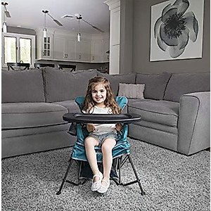 Baby Delight Go with Me Venture Portable Chair | Indoor and Outdoor | Sun Canopy | 3 Child Growth Stages | Teal