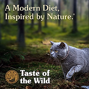 Taste Of The Wild High Protein Real Meat Recipes Premium Dry Cat Food With Superfoods And Nutrients Like Probiotics, Vitamins And Antioxidants For Adult Cats And Kittens