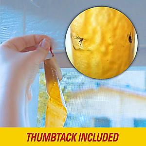 PIC FR10B Sticky Fly Ribbons, 20 Count