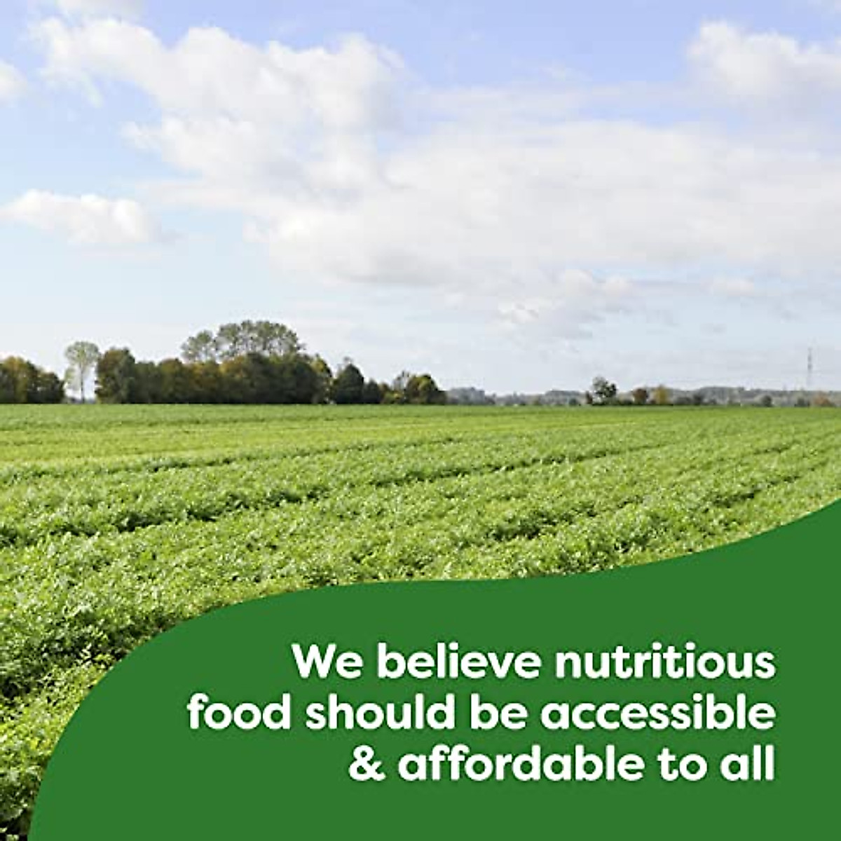 Knorr Rice Sides For a Tasty Rice Side Dish Cheddar Broccoli No Artificial Flavors, No Preservatives, No Added MSG 5.7 oz, Pack of 12