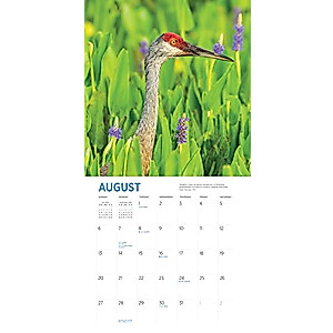 Audubon Nature Wall Calendar 2023: A Year of Breathtaking Vistas