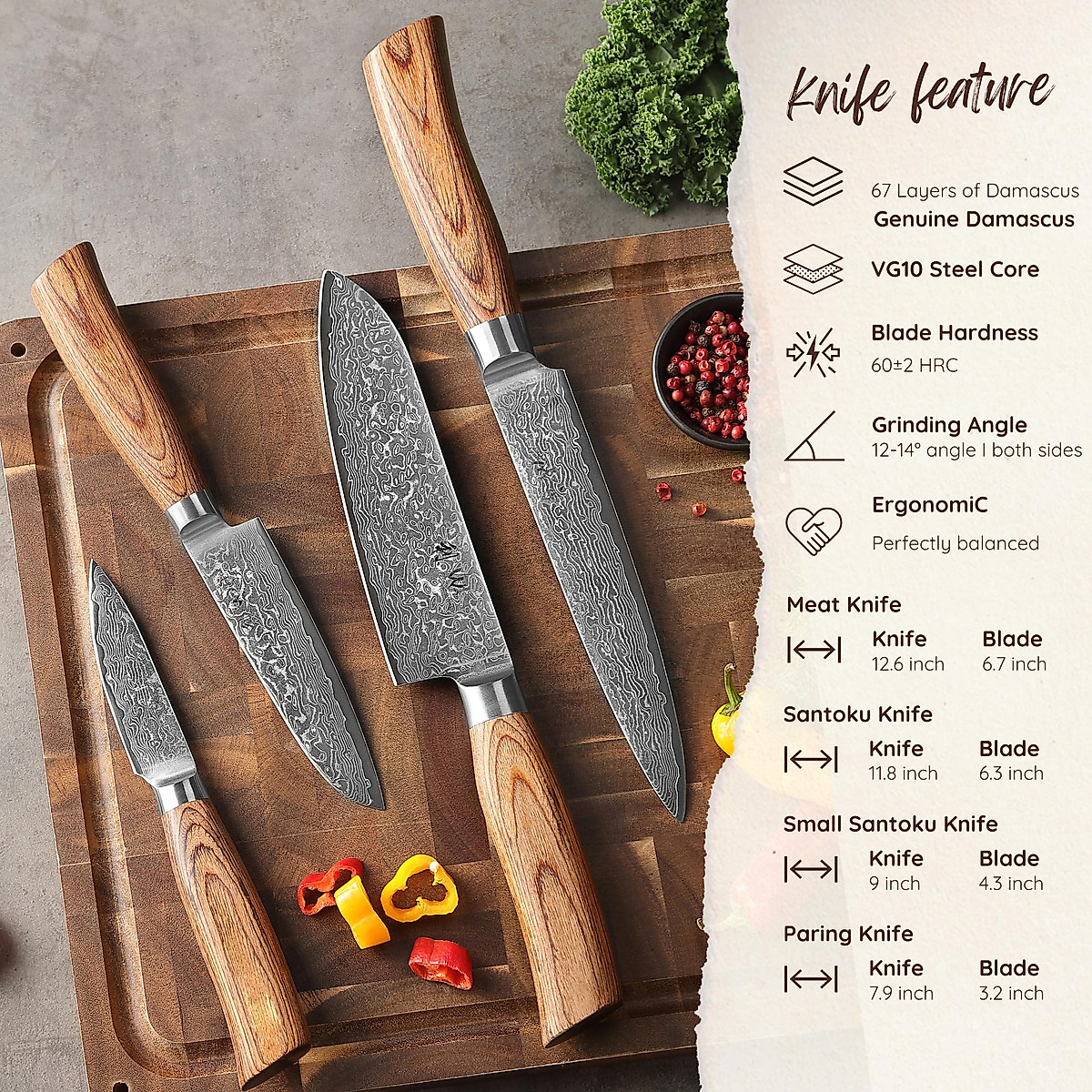 Wakoli Kitchen Knife Set, 4 Pieces Professional Chef Knife Set made from 67 Layers of Damascus Steel with VG10 Core, Damascus Knife with Ergonomic Pakkawood Handles in Wooden Gift Box (EDIB Pro 4-pcs)