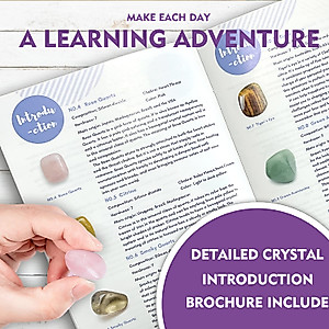 PAOSOD Healing Crystal Advent Calendar 2022 - 24 Pcs Christmas Novelty Toy Set - 2023 New Year 24 Days Countdown Board Game-Christmas Countdown Calendars for Christmas Home Garden Decoration