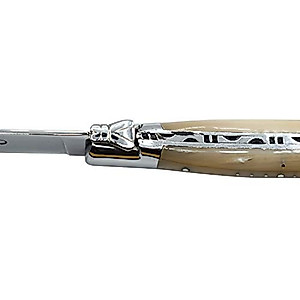 Laguiole en Aubrac Luxury Fully Forged Full Tang Stainless Steel Steak Knives 2-Piece Set with Solid Horn Handle, Stainless Steel Shiny Bolsters