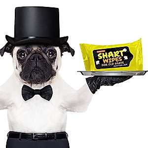 Shart Wipes for Old Farts - Over the Hill Gag Gifts for Mens Birthdays - Prank Gifts for Dads - Stocking Stuffers for Adults - Pocket Size Moist Towelettes, Disposable, 15 count