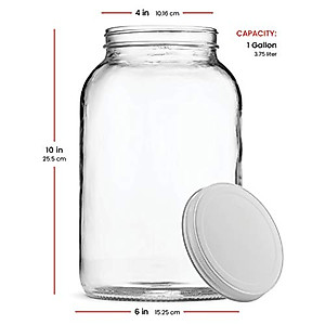 Paksh Novelty 1-Gallon Glass Jar Wide Mouth with Airtight Metal Lid - USDA Approved BPA-Free Dishwasher Safe Large Mason Jar for Fermenting, Kombucha, Kefir, Storing and Canning Uses, Clear (2 Pack)