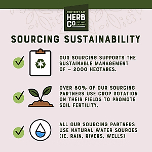 MONTEREY BAY HERB CO. Bee Pollen Powder | Bee Bread | Use for Skin Care or Add to Teas, Coffees, Spreads, or Baked Goods | Powdered | 1 LB