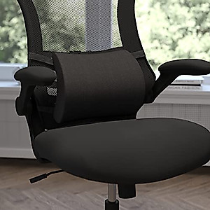 Flash Furniture Rey Lumbar Support Back Pillow Office Chair and Car Seat Cushion with Adjustable Straps and CertiPUR-US Certified Memory Foam, Set of 1, Black