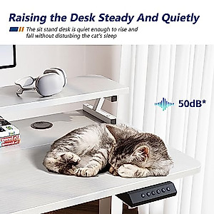 KKL Height Adjustable Electric Standing Desk with Monitor Shelf, 48 Inch Stand Up Table, Sit Stand Desk with 4 Memory Preset,Home Office Computer Workstation,Motorized Rising Desk,White