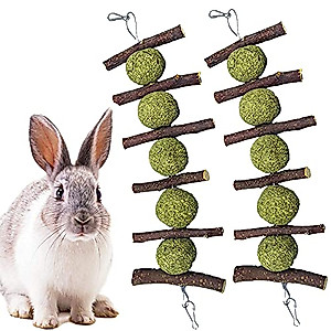 Rabbit Toys Guinea Pig Toys Bunny Toys Small Animal Chew Treat 100% Natural Materials Handmade Hamster Food for Chinchilla Hamsters Rat