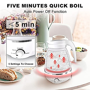 Foldable Electric Kettle, Travel Kettle with 2 Foldable Cup Set, Portable Boiler with Multiple Setting, Collapsible Heater for Water Milk Coffee Tea