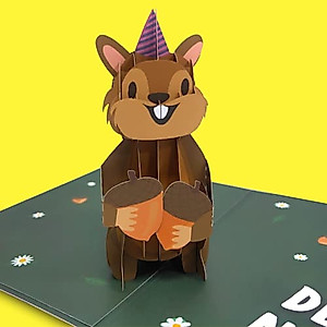 Sleazy Greetings Squirrel Pop Up Birthday Card | Funny Birthday Card for Men Women | Squirrel 3D Greeting Cards 5x7 Inch