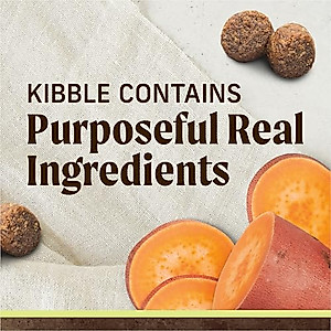 Merrick Limited Ingredient Diet Grain Free Dry Dog Food, Premium and Healthy Kibble with Lamb and Sweet Potato - 4.0 lb. Bag