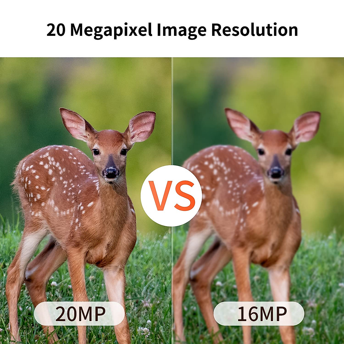 OUTDOOR EXPERT 20MP Mini Trail Camera,1080P Hunting Trail Camera with No Glow 940nm Night Vision Motion Activated IP66 Waterproof,80ft Illumination Range Hunting Game Cam for Wildlife Monitoring