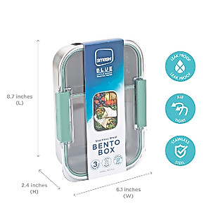 Smash Stainless Steel Bento Lunch Box, 3 Compartments, Sage