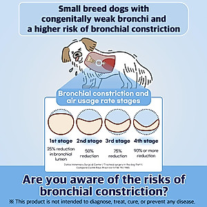 Doctor By Breath Bronchial Supplements for Dogs - Dog Cough Relief - for Dry, Wet & Barkly Pet Cough (8.5 Ounce (Pack of 1))