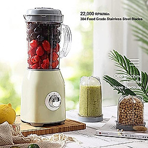 Water cup Electric juicer Multifunctional Blender Blender With Food Processor Spice Grinder And Ice Crusher 2 Speed U200BU200Bsettings And One Pulse Free 3 Titanium Alloy Ice/Nu ZJ666