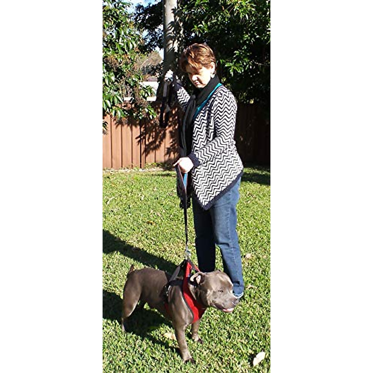 Primal Pet Gear Dog Leash 6ft Long,Traffic Padded Two Handle,Heavy Duty,Reflective Double Handles Lead for Control Safety Training,Leashes for Large Dogs or Medium Dogs,Dual Handles Leads(Black)