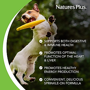 Natures Plus FurBaby Probiotic for Dogs - 9.5 oz - Supports Digestive, Heart, Liver & Immune Health - 60 Servings