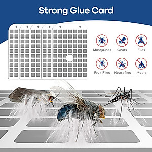 DFAGIE Refill Glue Cards for GS6 Fly Trap Indoor, Replacement Glue Card 5 Pack