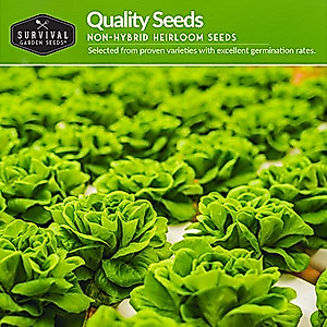 Hydroponics Vegetable Seed Collection for Planting - Watercress, Spinach, Siberian Kale, Swiss Chard, Buttercrunch, Oakleaf Lettuce Varieties to Grow Indoors Non-GMO Heirloom Survival Garden Seeds