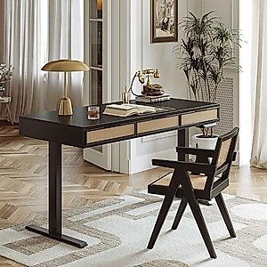 FEZIBO 55X26 Inches Boho Style Height Adjustable Electric Standing Desk with 3 Rattan Drawers, Stand up Desk with Large Storage Space, White（2 Packages）