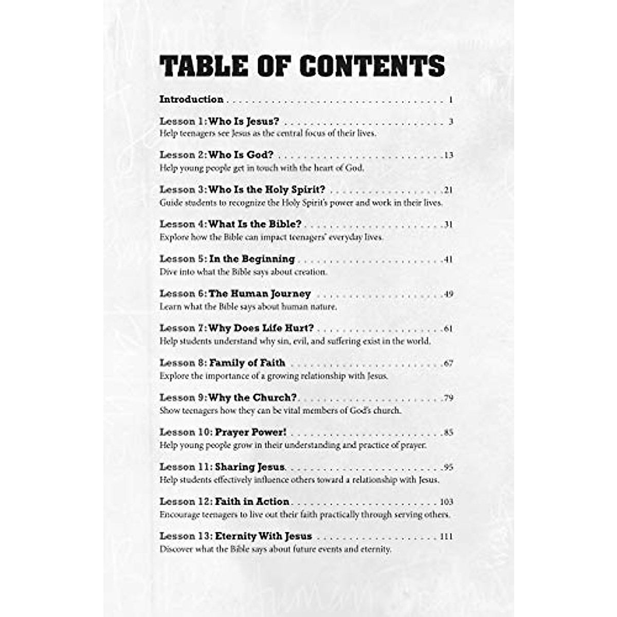 The 13 Most Important Bible Lessons For Teenagers: Complete Meetings for Youth Groups and Sunday School