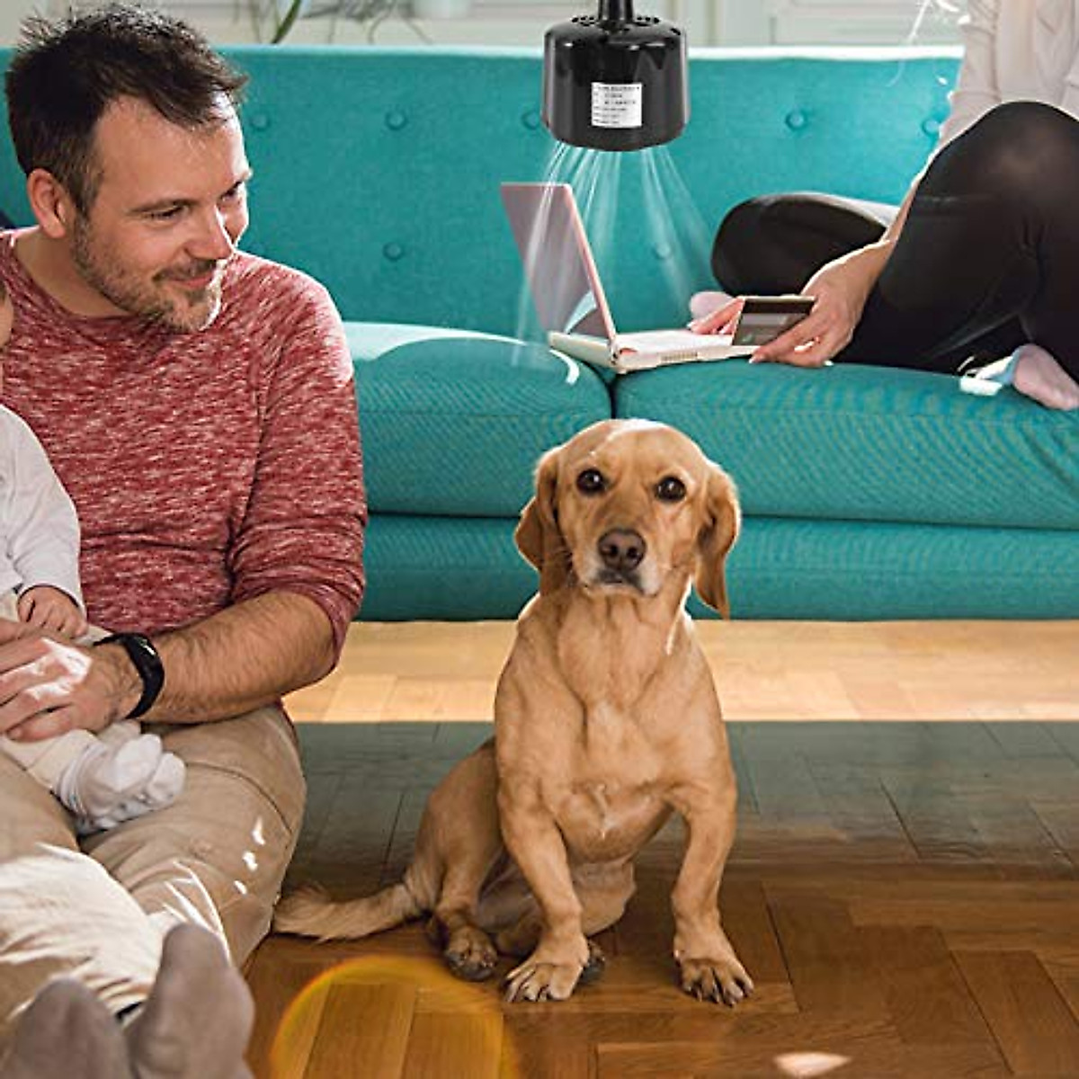 YARDWE Reptiles Reptile Heat Emitter Safe Chicken Coop Heater Livestock Heat Warm Light Cultivation Heating Lamp for Farm Animal Poultry Cat Dog Reptile Style Poultry Heat Lamp