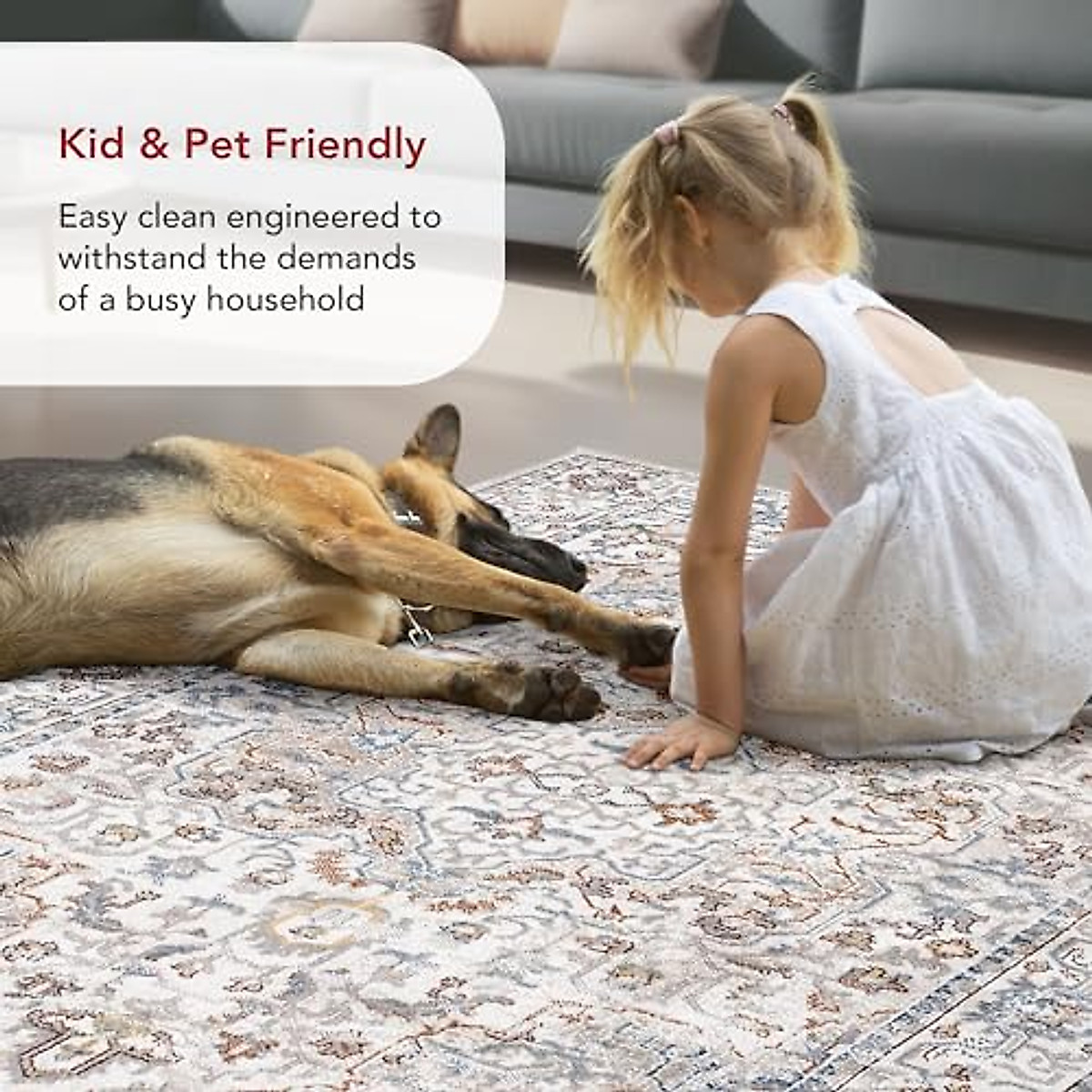 nuLOOM Cady Machine Washable Transitional Area Rug, 4x6, Beige