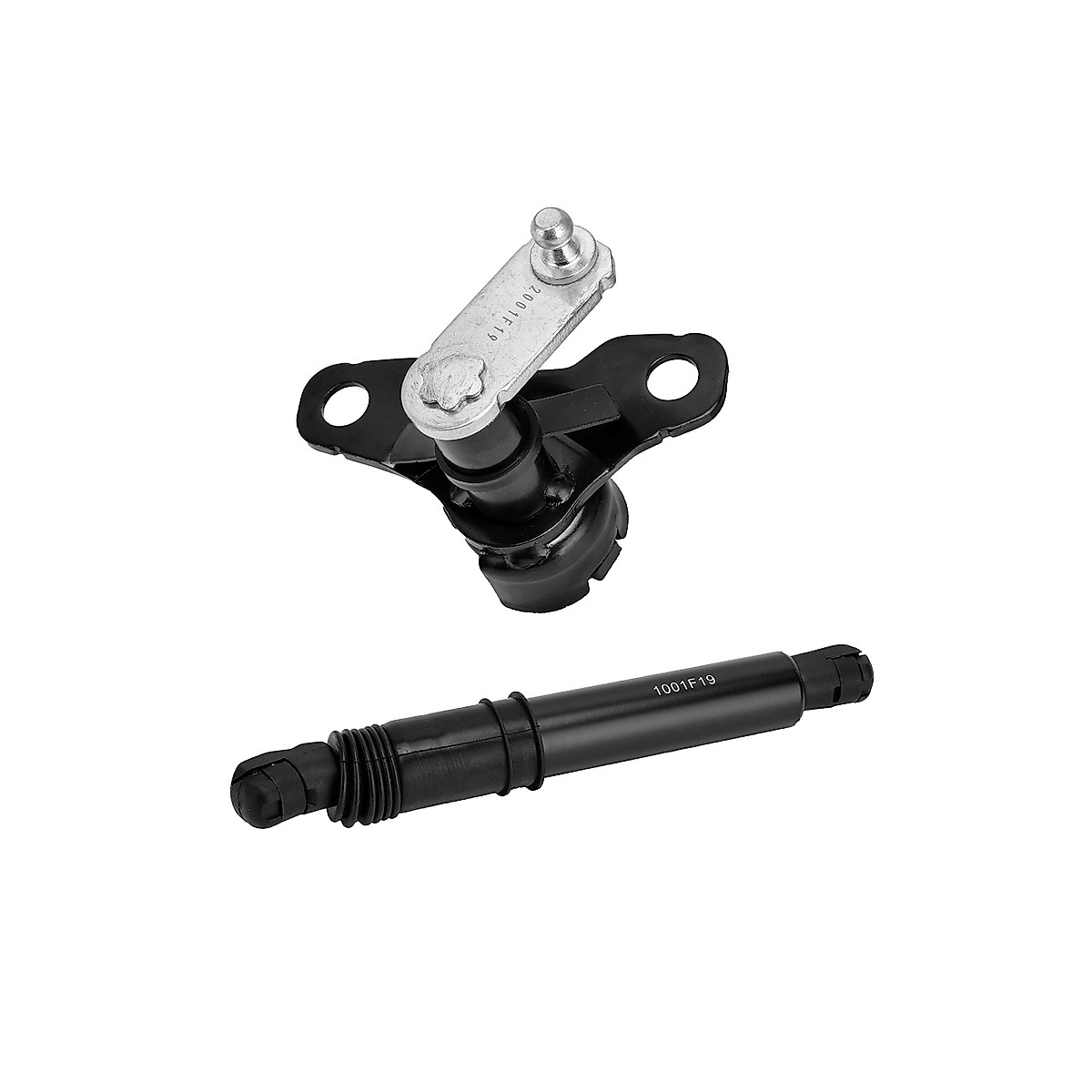 Tailgate Damper Kit - Compatible with Ford F-150 2015, 2016, 2017, 2018, 2019, F-150 Raptor 2017-2019 - Replaces FL3Z-99406A10-A, FL3Z99406A10A - Tail gate Assist Shock Strut - Lift Support Kit