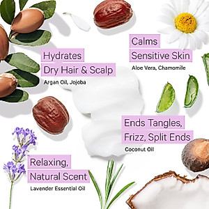 Tree to Tub Moisturizing Conditioner for Dry Hair & Dry Scalp - Hydrating Sulfate Free Argan Oil Conditioner & Vegan Hair Moisturizer for Women & Men w/Organic Coconut Oil, All Natural Lavender