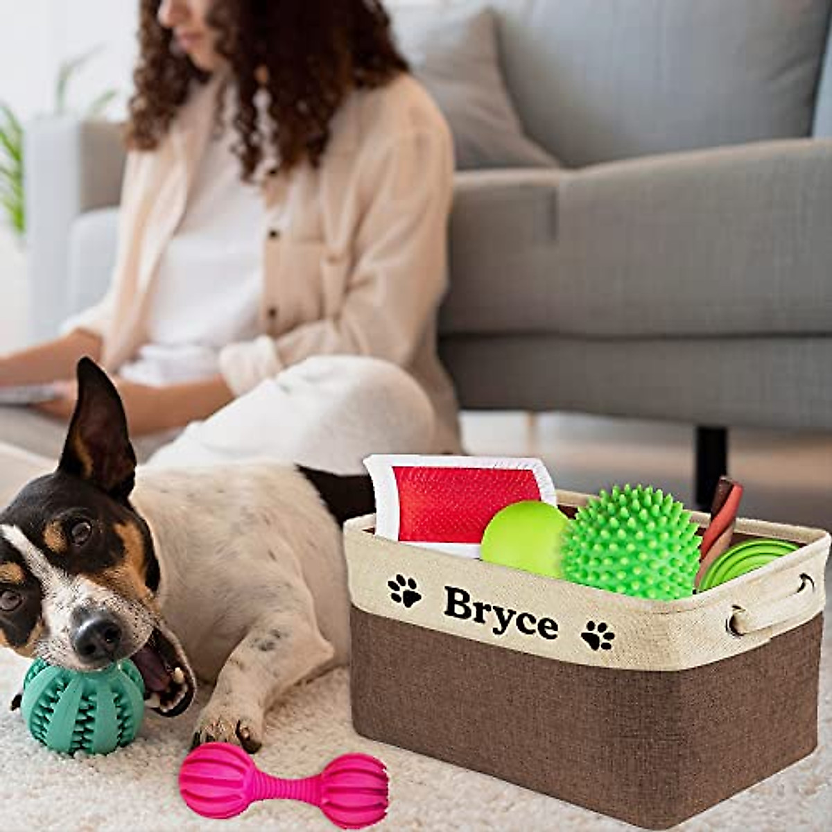 MALIHONG Personalized Dog Toy Box Collapsible Storage Basket Sturdy Fabric Storage Bin with Handles for Organizing Shelf Home Closet, Brown and White Size - 15" x 11" x 8.3"