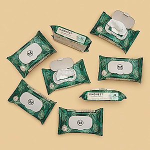 The Honest Company Plant-Based Flushable Wipes | 99% Water, Hypoallergenic, EWG Verified, Safe to Flush | Fragrance Free, 42 Count