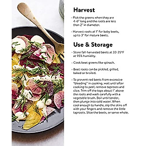 Burpee Detroit Dark Red Medium Top Beet Seeds 1000 seeds