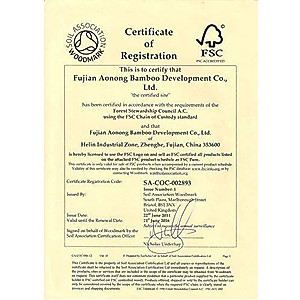 Bamboo Tray Bamboo Plates 13.8 x 5.9 x 1 Inches Serving Tray Elegant Appetizer Plates Steak Plate Coffee Tea Serving Tray Fruit Platters Party Dinner Plates Sour Candy Tray