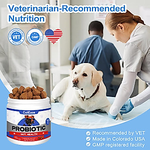 Probiotics for Dogs 150 Count Soft Chews Advanced Dog Probiotics with Prebiotics 6 Digestive Enzymes Promotes Gut Health Lamb Flavor