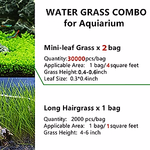 Live Aquarium Plant Seeeds Combo,Fresh Water Grass Mini Leaf & Hair Grass Small Pearl Leaf for Fish Tank Terrarium Aquatic Dwarf Carpet Decor AAB