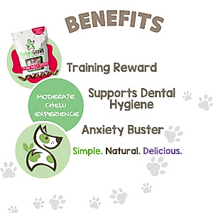 Nature Gnaws Pork Bully Stick Springs for Dogs 7-8" (12 Count) - Long Lasting for Small and Medium Dogs - Natural Bacon Dog Chew Treats - Rawhide Free