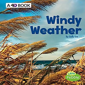 Windy Weather: A 4D Book (All Kinds of Weather)