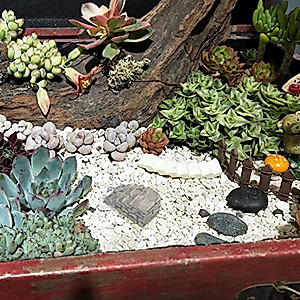 DOITOOL Desk Topper Dining Table Decor 10pcs Resin Stone Step Stair Miniature Rock Stair Ornament Decoration DIY Craft Yard Bonsai Decals Plants Decor Miniature Glass Ornaments