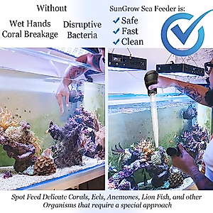 SunGrow Squirt Feeder, 17.7” Coral Feeder with Extension Tube, Dosage Tool for Target Feeding for Delicate Species, 1 Piece