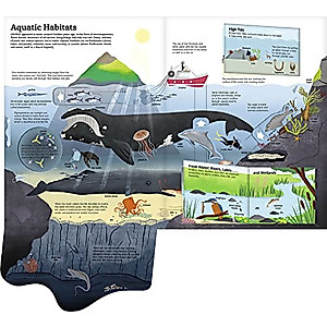 The Ultimate Book of Water (TW Ultimate)