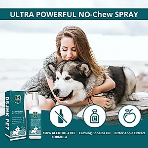 AENEY Bitter Spray for Dogs to Stop Chewing and Licking, No Chew Spray for Dogs, Stop Licking Wounds and Hot Spots, Protecting Furniture, Pet Corrector Spray for Dogs