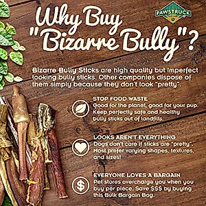 Pawstruck “Bizarre” Bully Sticks for Dogs (by Weight) Eco-Conscious, Bulk, Natural & Odorless Bullie Bones Made for K9 & Puppies - Long Lasting Chew by USA Company (8" to 12" Sticks, 1lb. Bag)