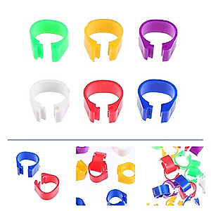 GANAZONO 200pcs 10mm Bird Ring Leg Bands Plastic Multi-Colour Pigeon Foot Bands Clip on Leg Rings for Chicks Bantam Finch Dove Lovebird Quail Small Poultry